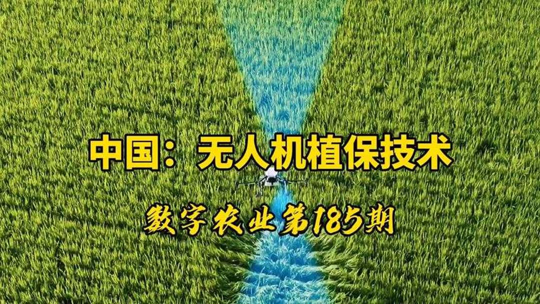 数字农业185期:中国智慧农业无人机植保技术!科技农业来了