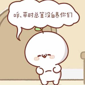 Ti疾风 