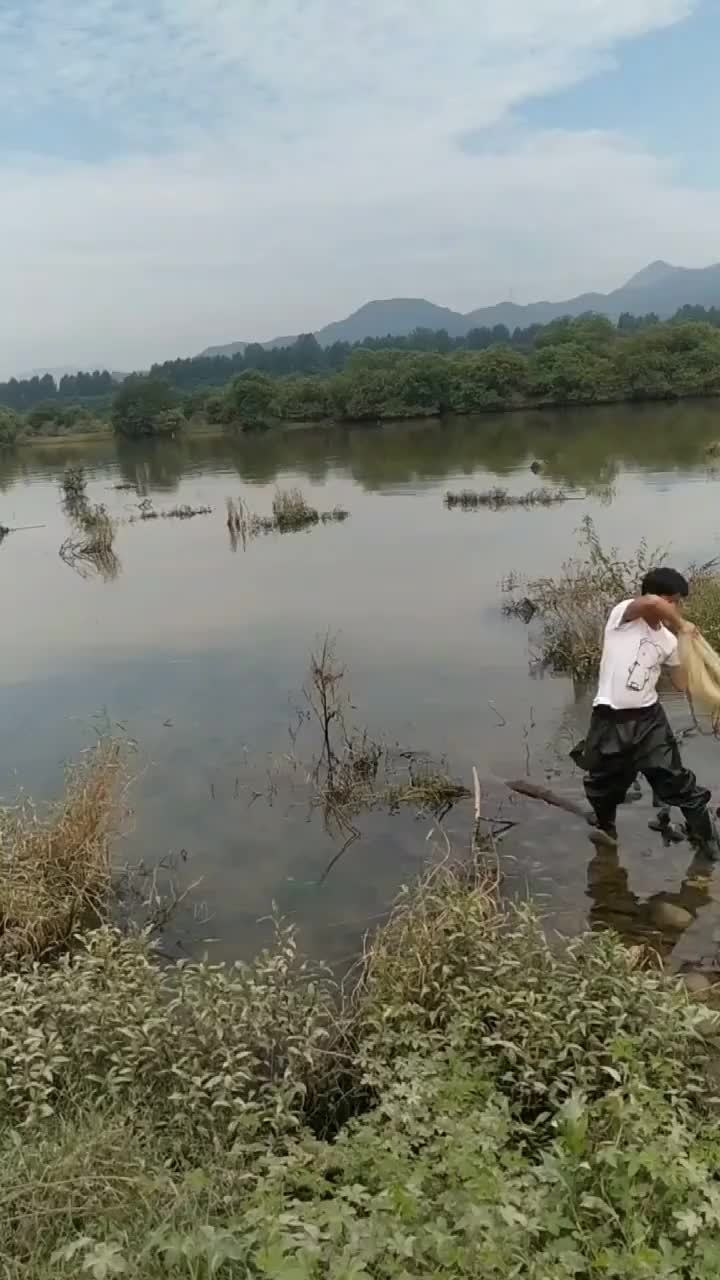 飞盘网还能这样玩啊#户外撒网#非专业人士请勿模仿#撒网捕鱼
