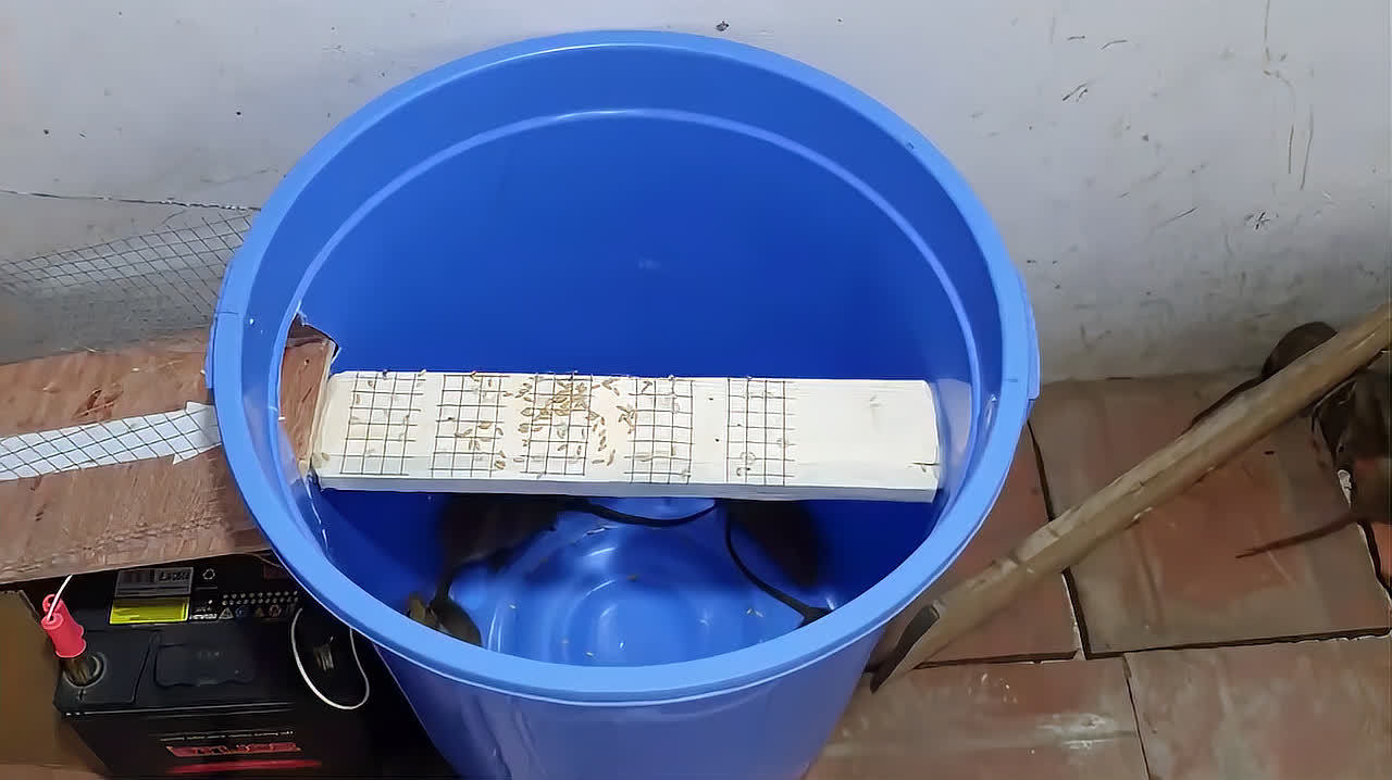 在家几分钟自制捕鼠器,堪称灭鼠神器,效果让人感叹!