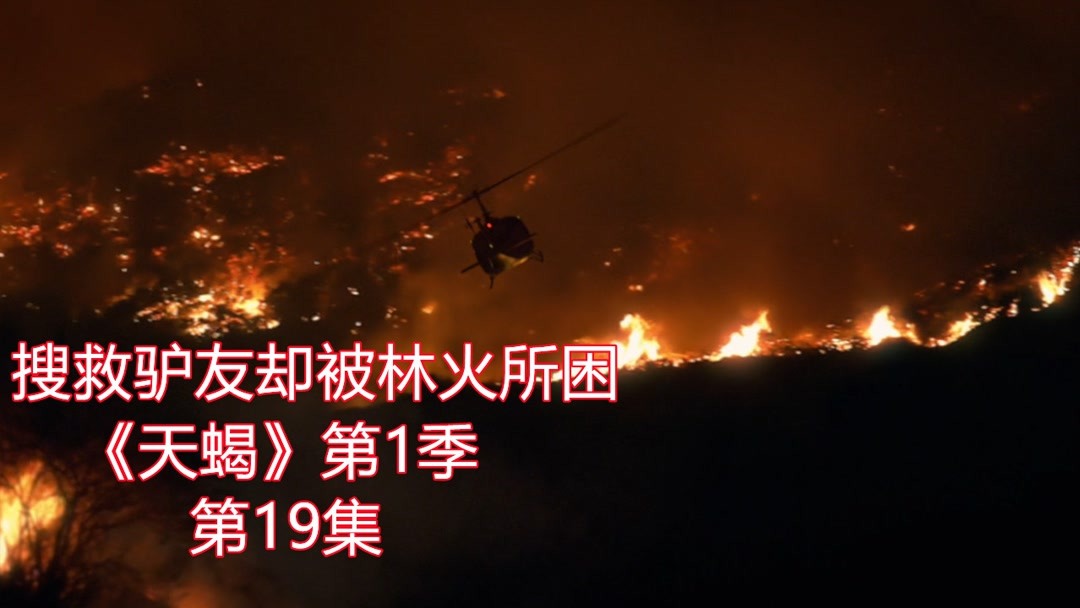 搜救失联驴友却被林火所困!《天蝎》第1季第19期