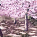 轩哥带你看糗事 