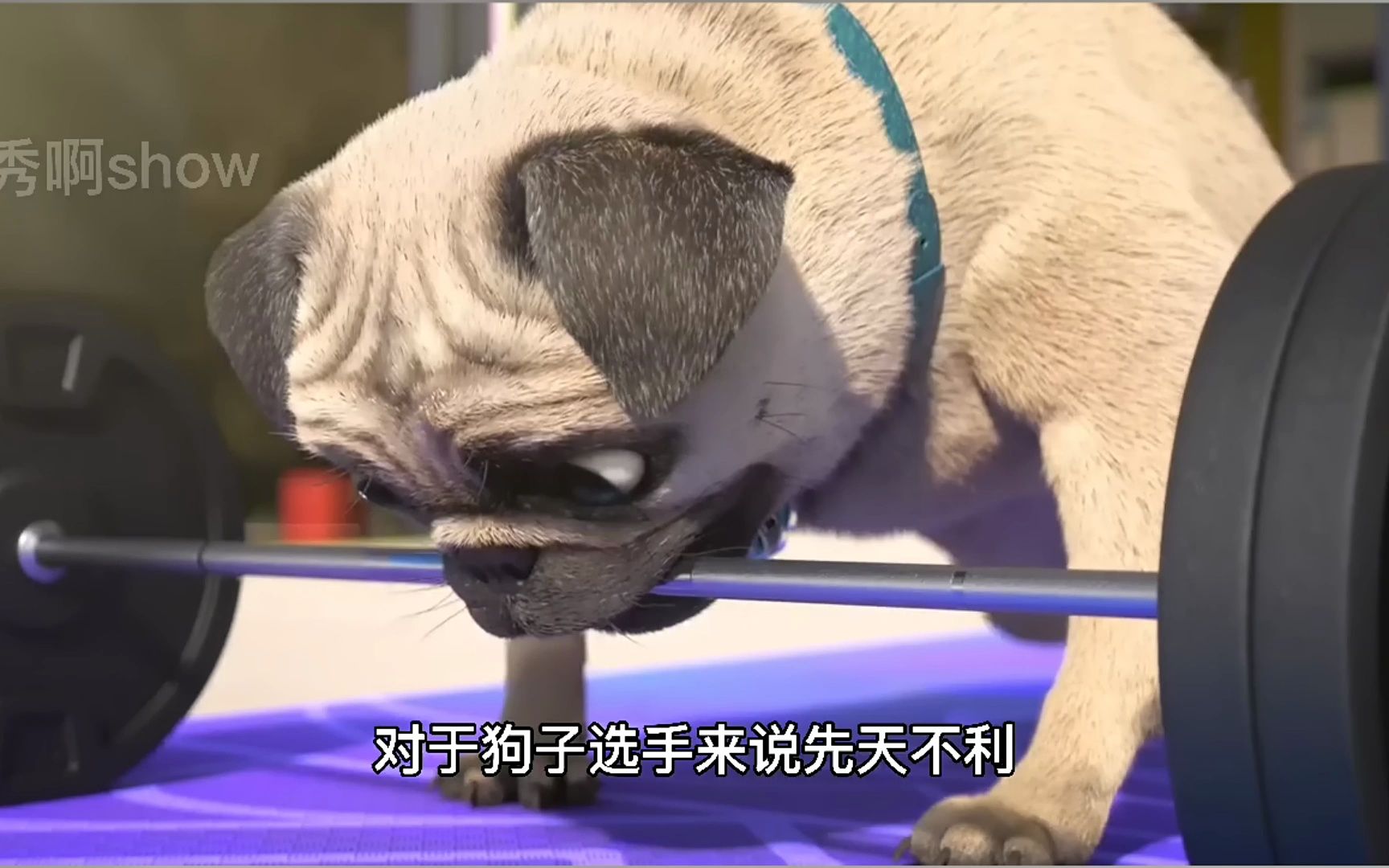 狗子和乌龟的乒乓球比赛,动物运动会,趣味动画短片