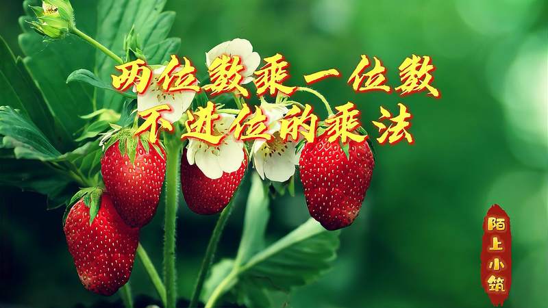不进位的两位数乘一位数