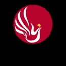 报晓游侠 
