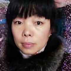 腊梅1318 