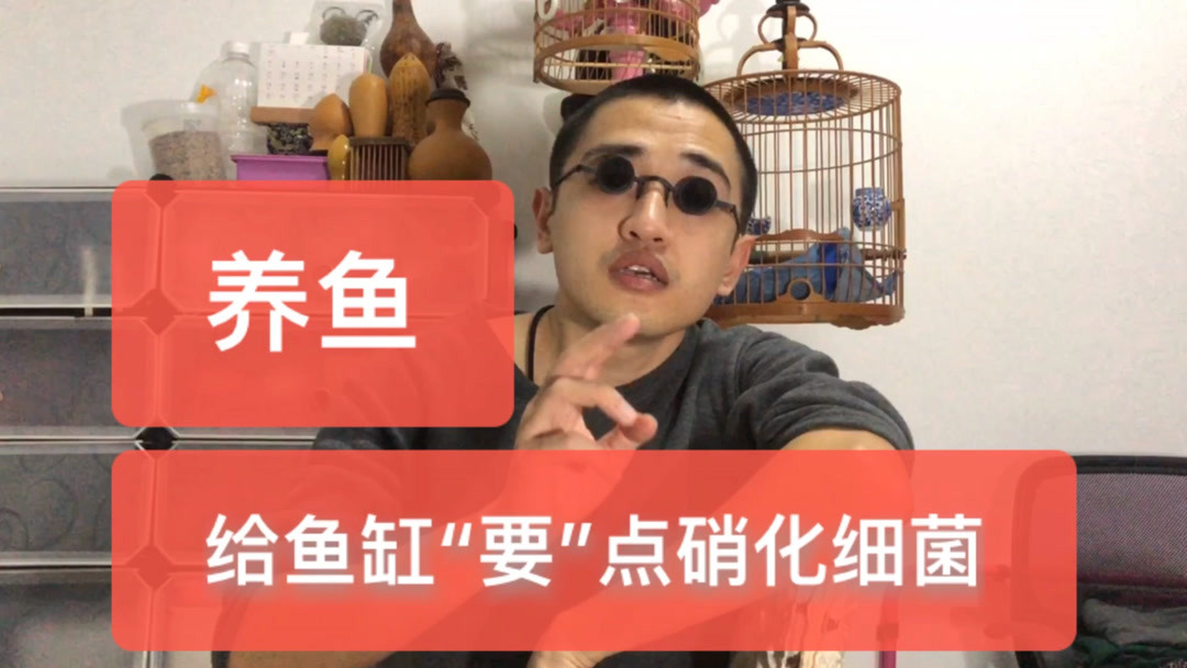 新手鱼缸水族箱开缸,没有硝化细菌怎么办,可以问养鱼的朋友要点