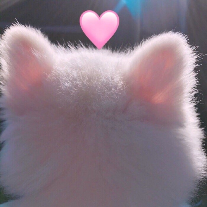 沙雕网友与你的时光 