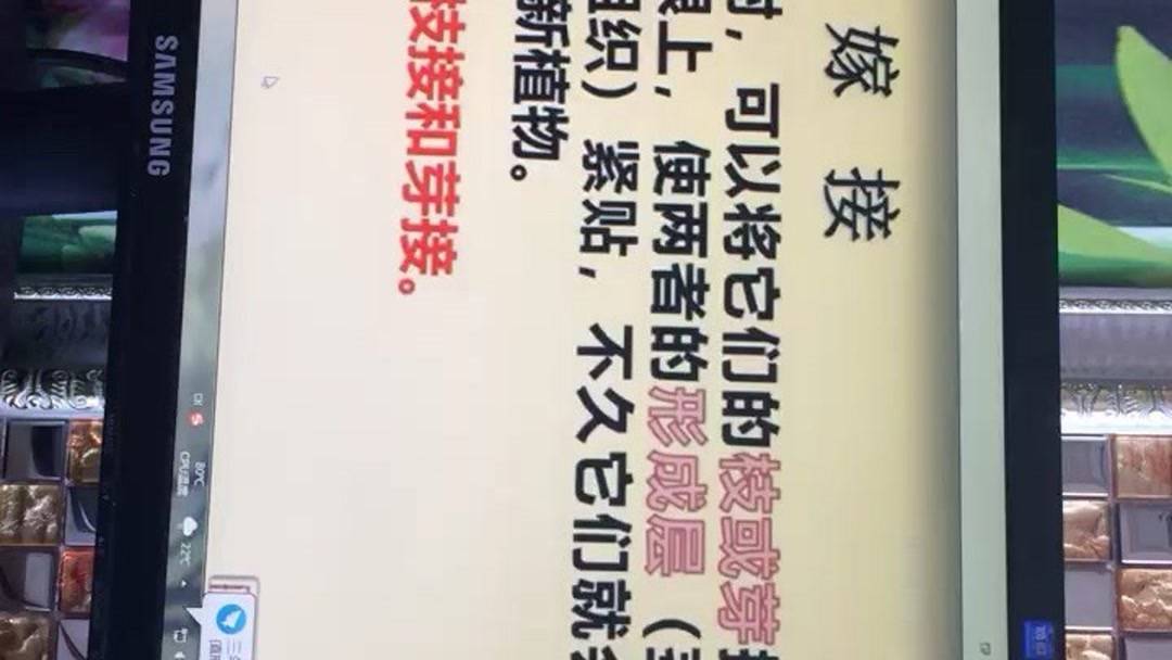 种树的步骤