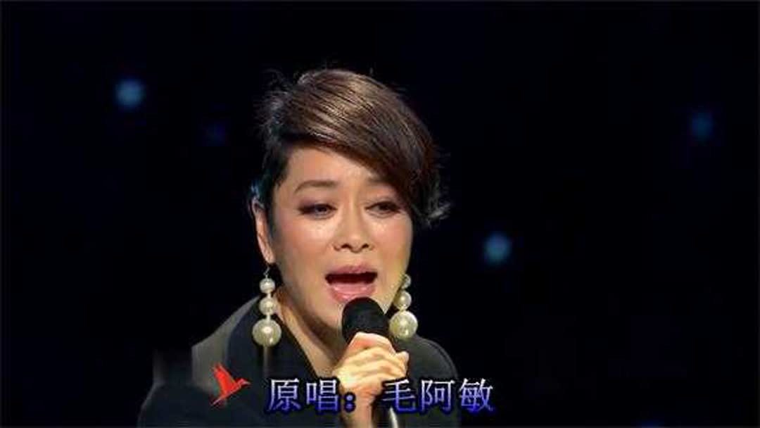 歌曲《渴望》 原唱:毛阿敏