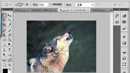 ps教程18羽化零基础教学全套PS人像处理PS后期PS磨皮PS转手绘PS...