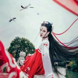 王巍汽车工作室 