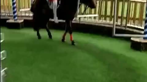 成都现旋转真马游戏 运营方回应:马在运动 哪里残忍