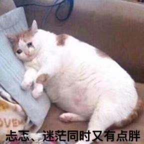 和猪一起学英语 