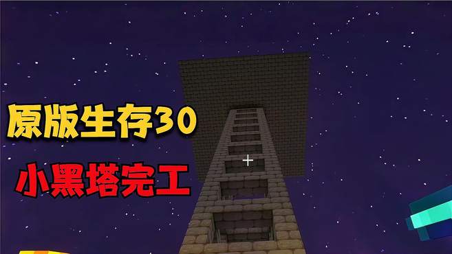 我的世界原版生存「30」,小黑塔建造完毕,效率很不错