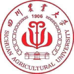 四川农业大学团委 