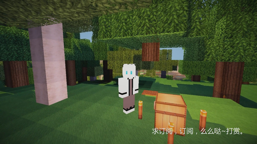 小枫哥哥|我的世界模拟大都市#1