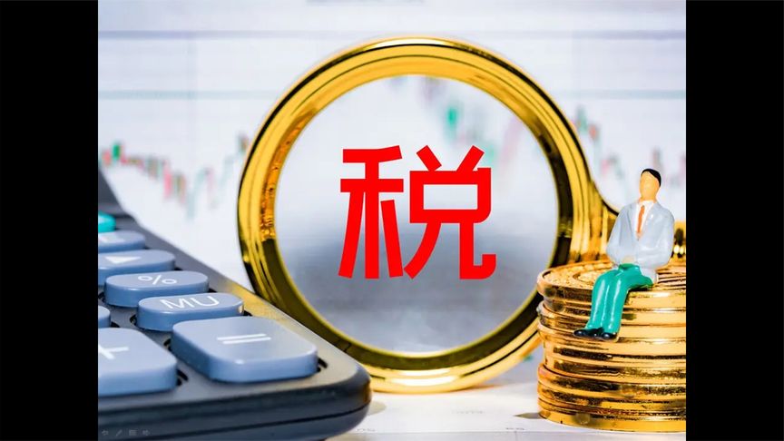 个体怎么报税视频