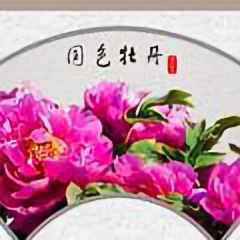 耿秀冬 