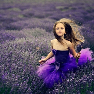 大策团队影像作品 