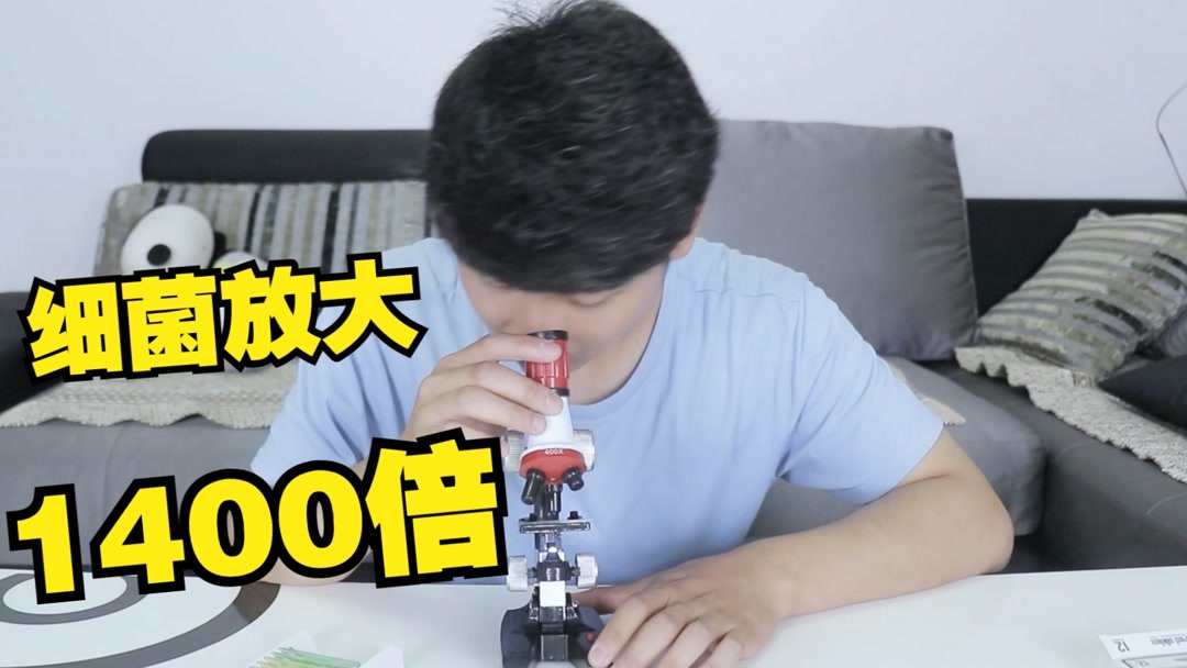 放大1200倍之后的细菌长啥样?用这台显微镜来看看