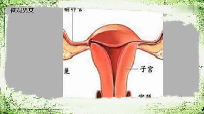宫腔分离是怎么回事