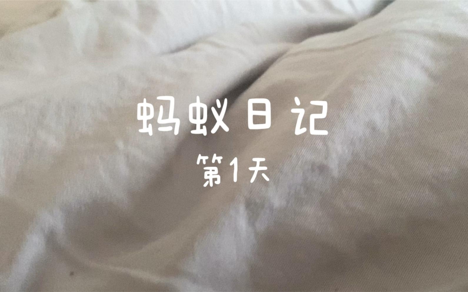 蚂蚁养久了就会长触角