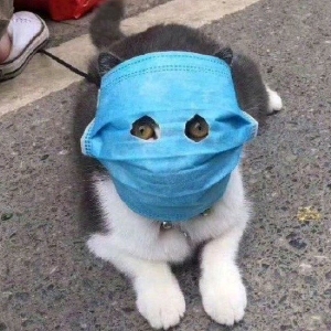 上演君 