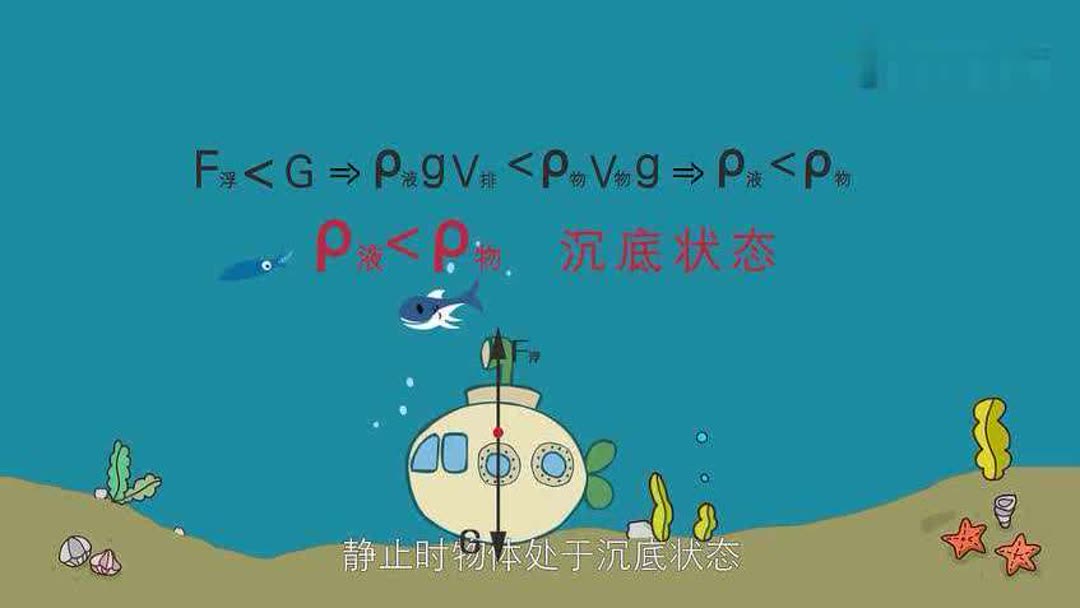 【物理大师】深海黑鱼——物体的沉浮条件及应用