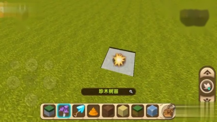 1468_迷你世界教你种紫色珍木树,你学会了吗。