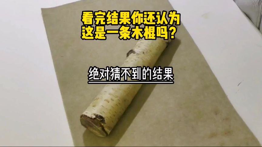 看完结果,你还觉得它是一根木棍吗?#手艺人 #手工制作 #手工