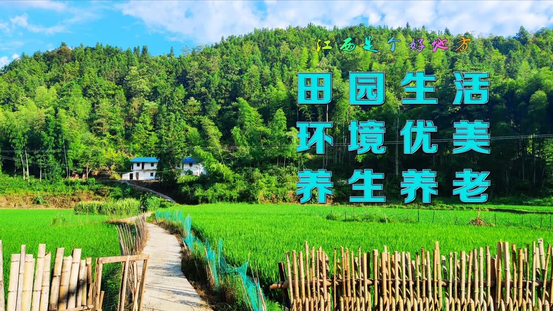 在农村200块钱租一栋这种老房子 过着田园生活 非常适合养生养老