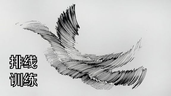 【钢笔画】如何通过线条变化,画出飞舞的感觉,钢笔原声原速排线