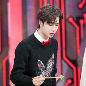 我家有个公主猫 