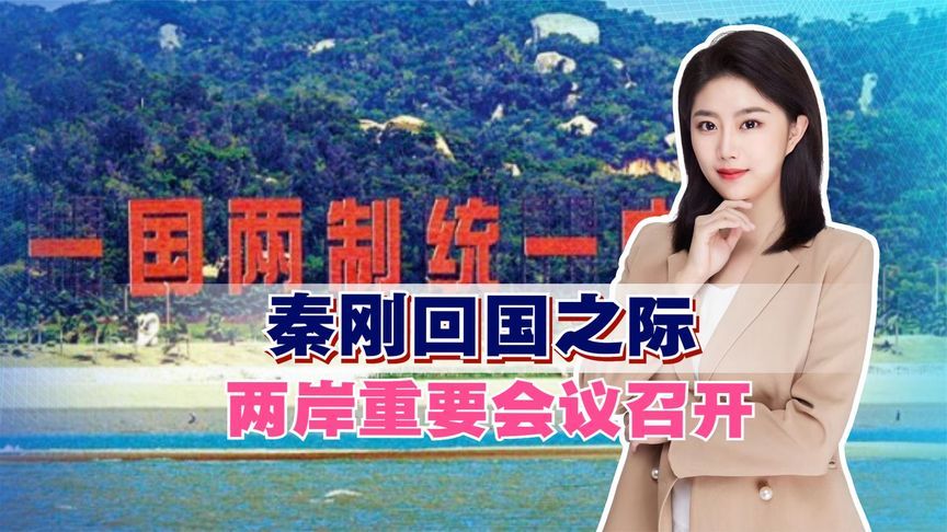 秦刚回国之际,两岸重要会议召开,岛内统派赴陆,民进党付出代价