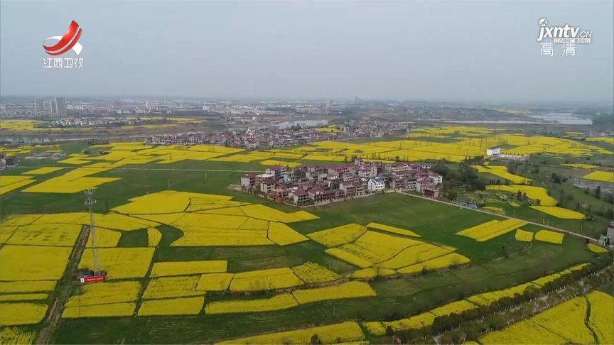 江西:夯实基层基础 筑牢战斗堡垒