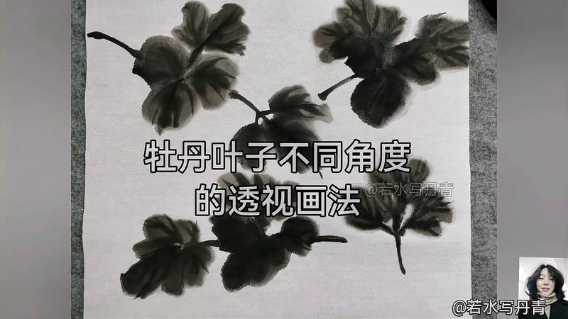 国画花鸟画牡丹叶子画法示范,笔法简单,初学容易掌握的水墨画法