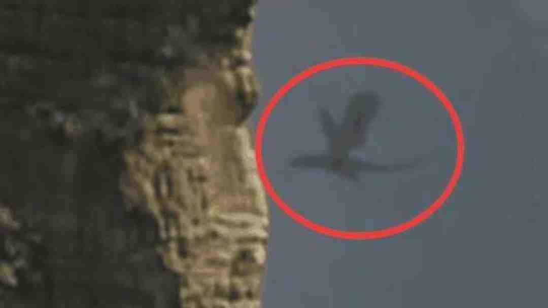 男子山间意外拍下不明飞行物,疑似“西方龙”,放大细看后惊了!