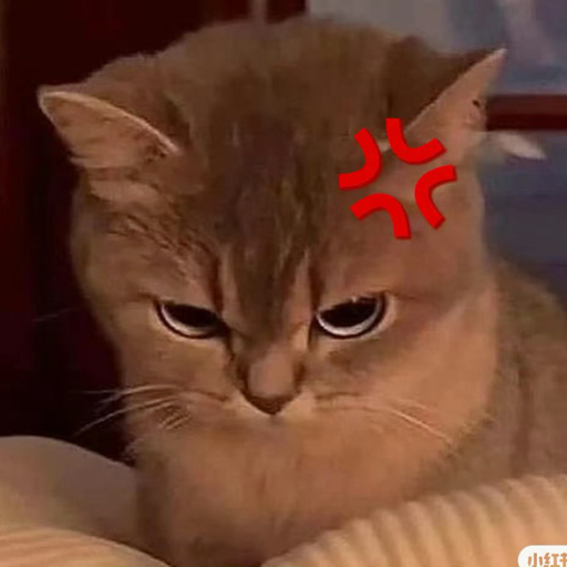 茴香小兔唇下痣 