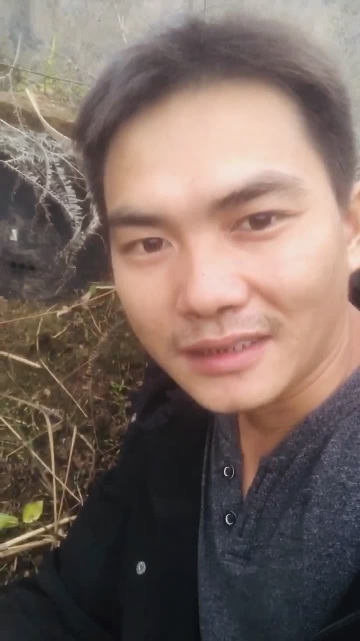 ...过去了找野蜜蜂充满不确定性找到的强群没法要最后总算得了个安慰奖