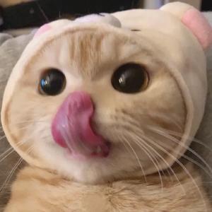 游戏练习生史努比 