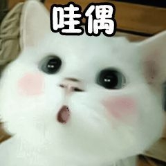 住在棉花糖里 