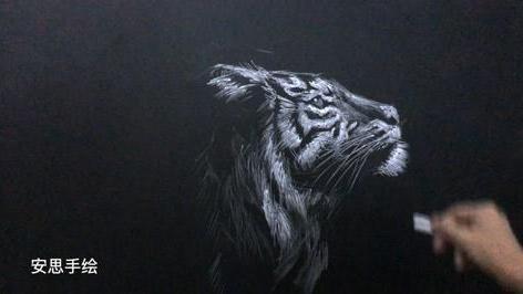 《粉笔黑板画》凝视远方的东北虎