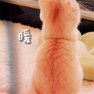 嗯昂喵小暖
