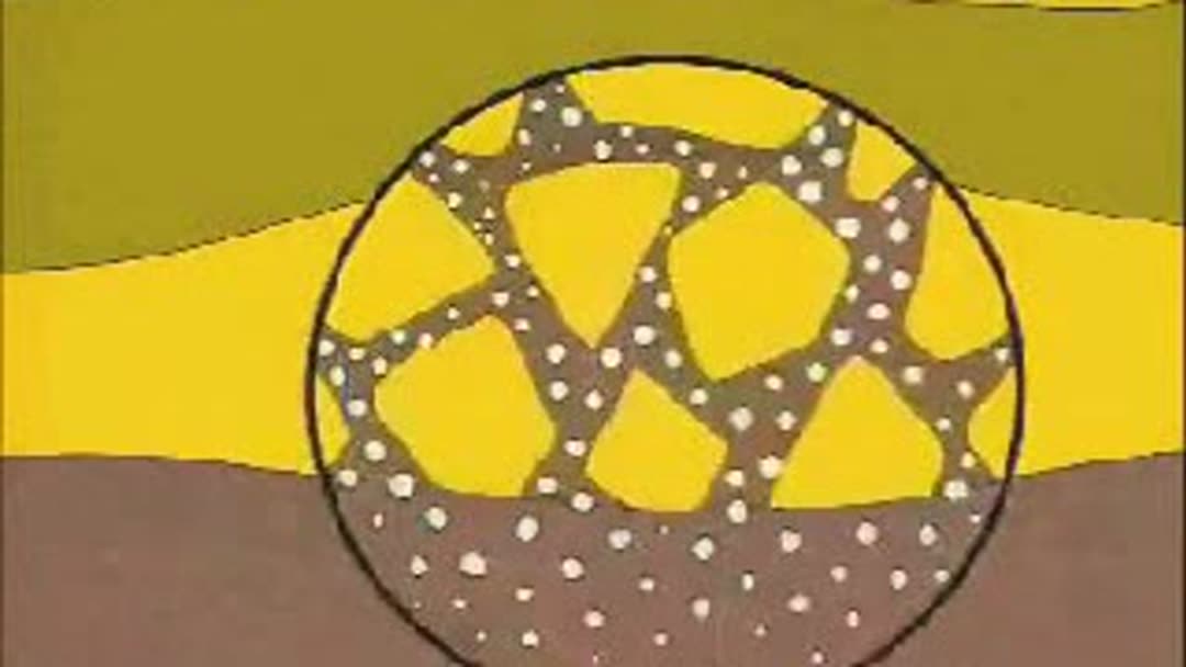 煤形成演变过程