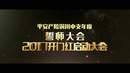 平安人寿保险公司誓师大会2018开门红启动大会年会开场总结视频