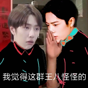 嗑博肖的B站逆子 