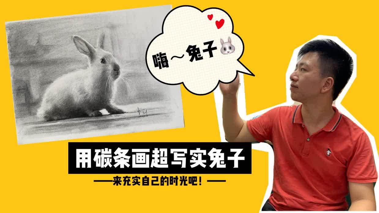 碳条画超写实兔子,像及了照片,毛茸茸还很可爱
