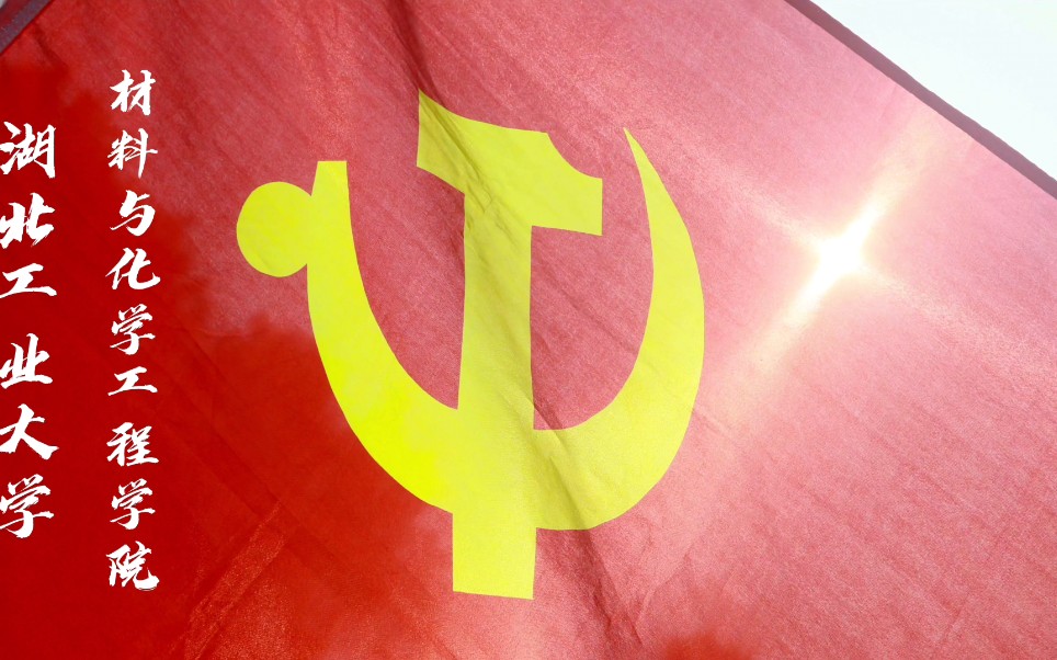 庆政治生日,迎建党百年!