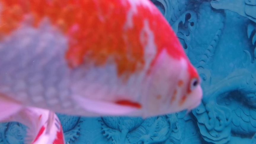 欢迎咨询订购预应力钢绞线产品齐全!桩基声测管 注浆管